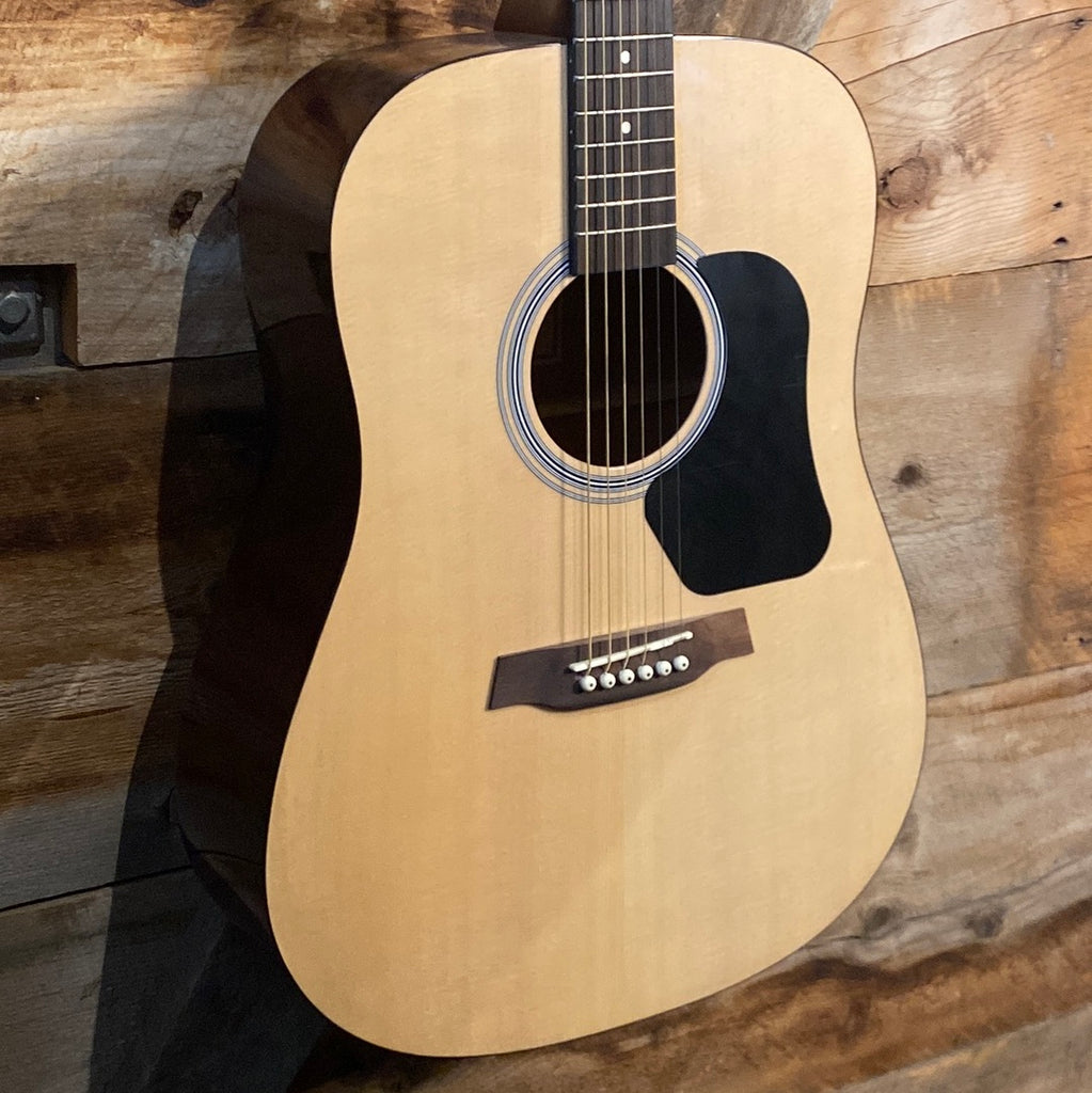 Walden D350 Dreadnought – Starr's Guitars