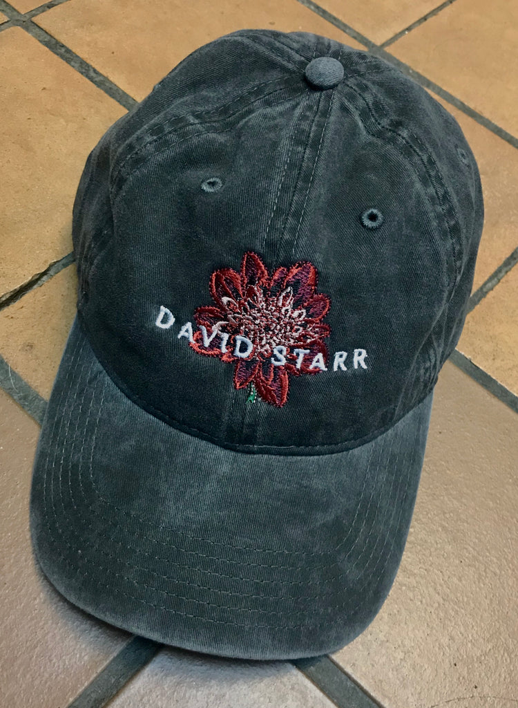 David Starr “Beauty And Ruin” Logo Cap – Starr's Guitars